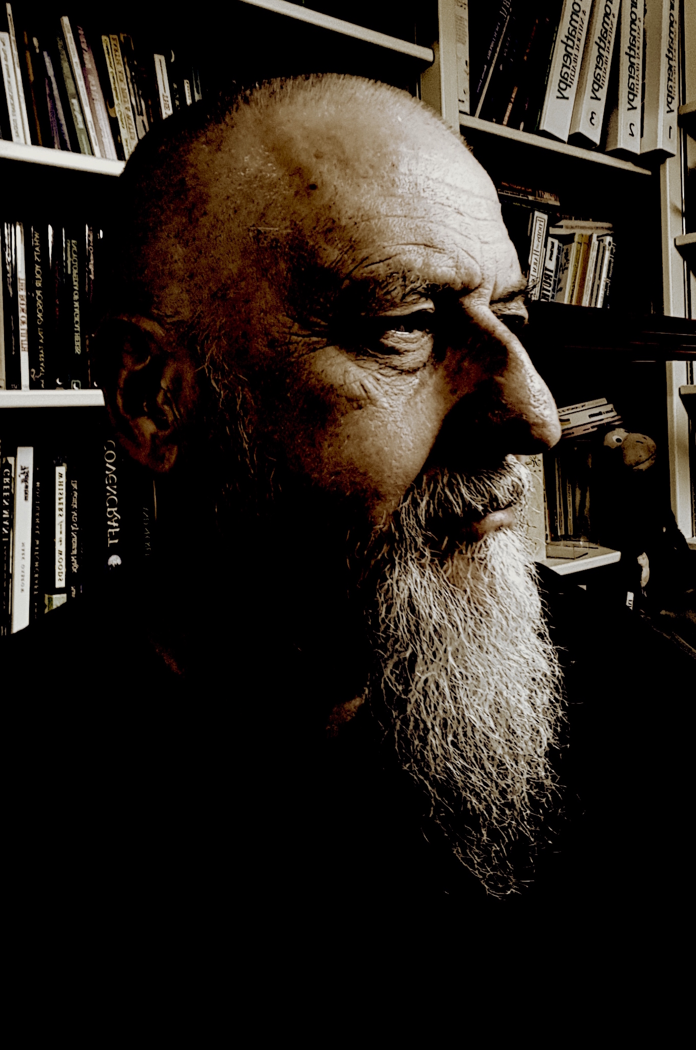 steverowecom – Martial Artist – Writer- Philosopher